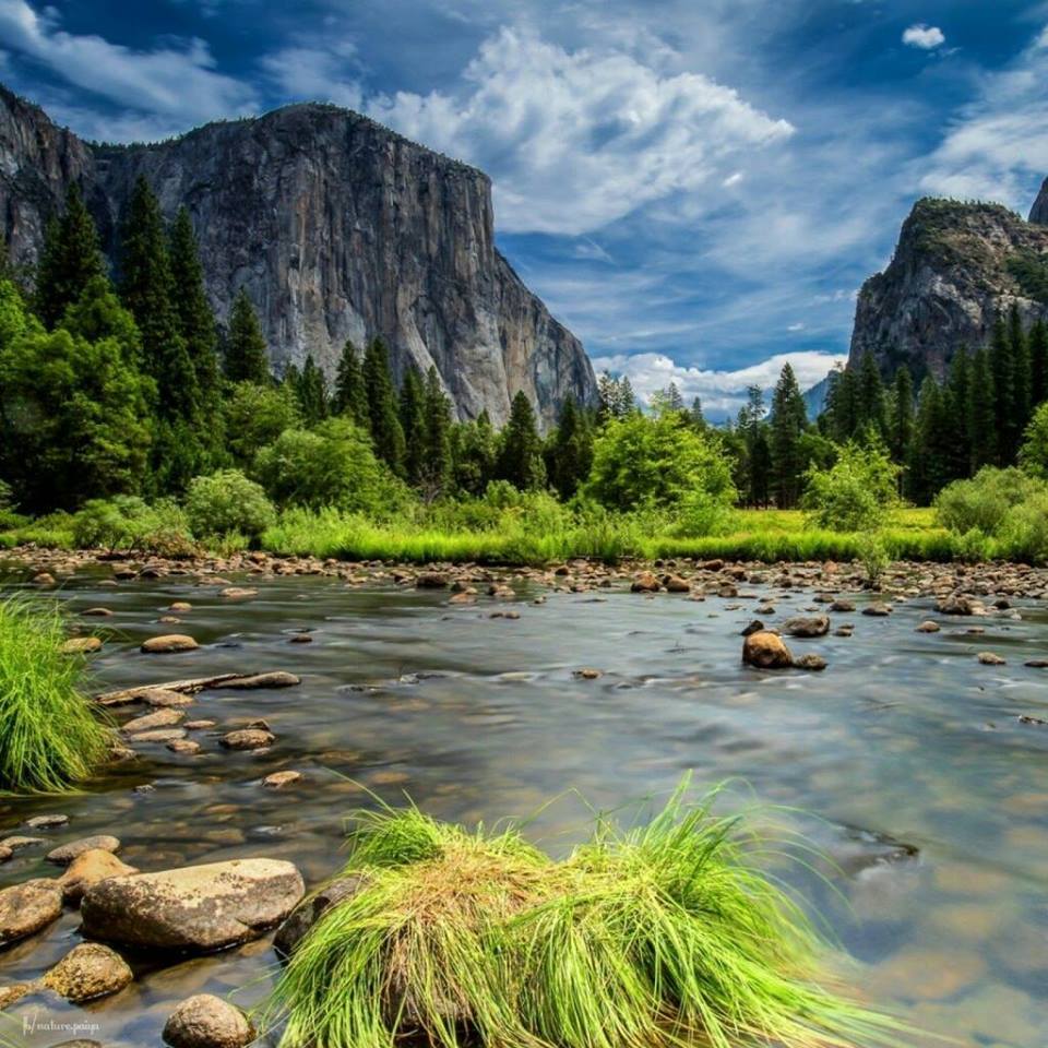 I CAN SEE – Rick Mathes