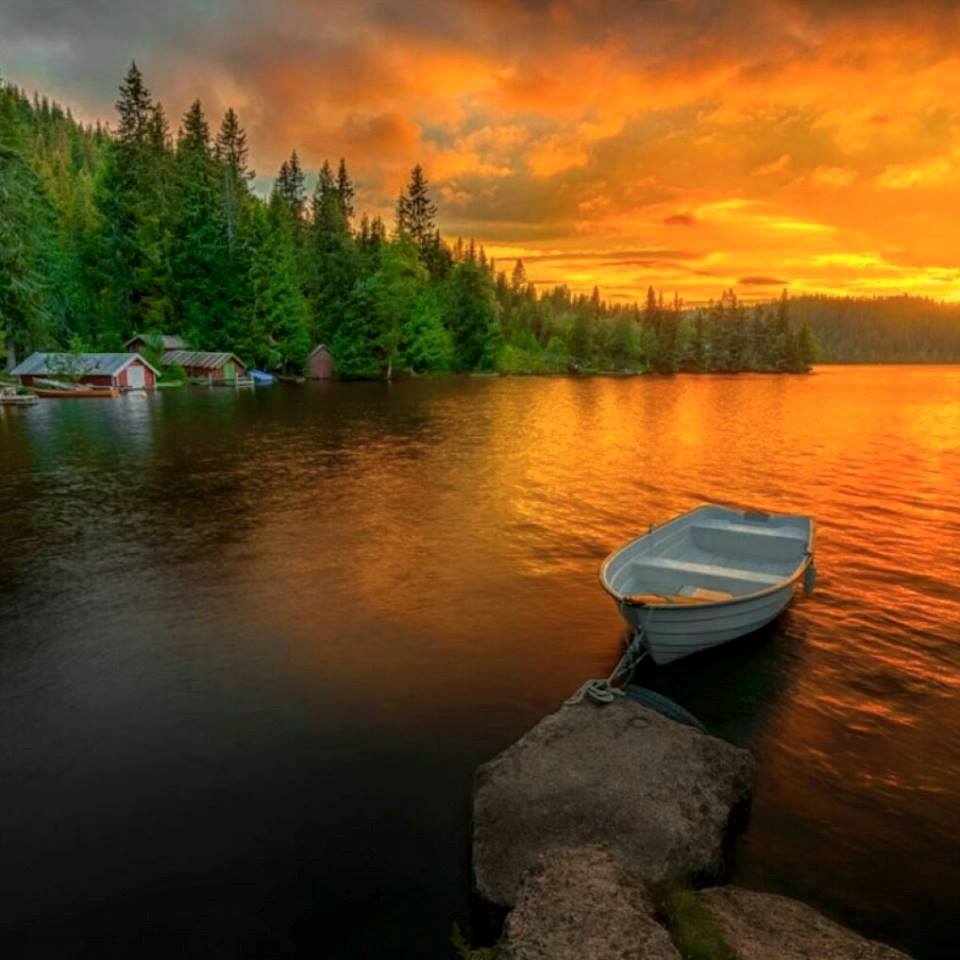 YOUR FERTILE GROUND – Rick Mathes